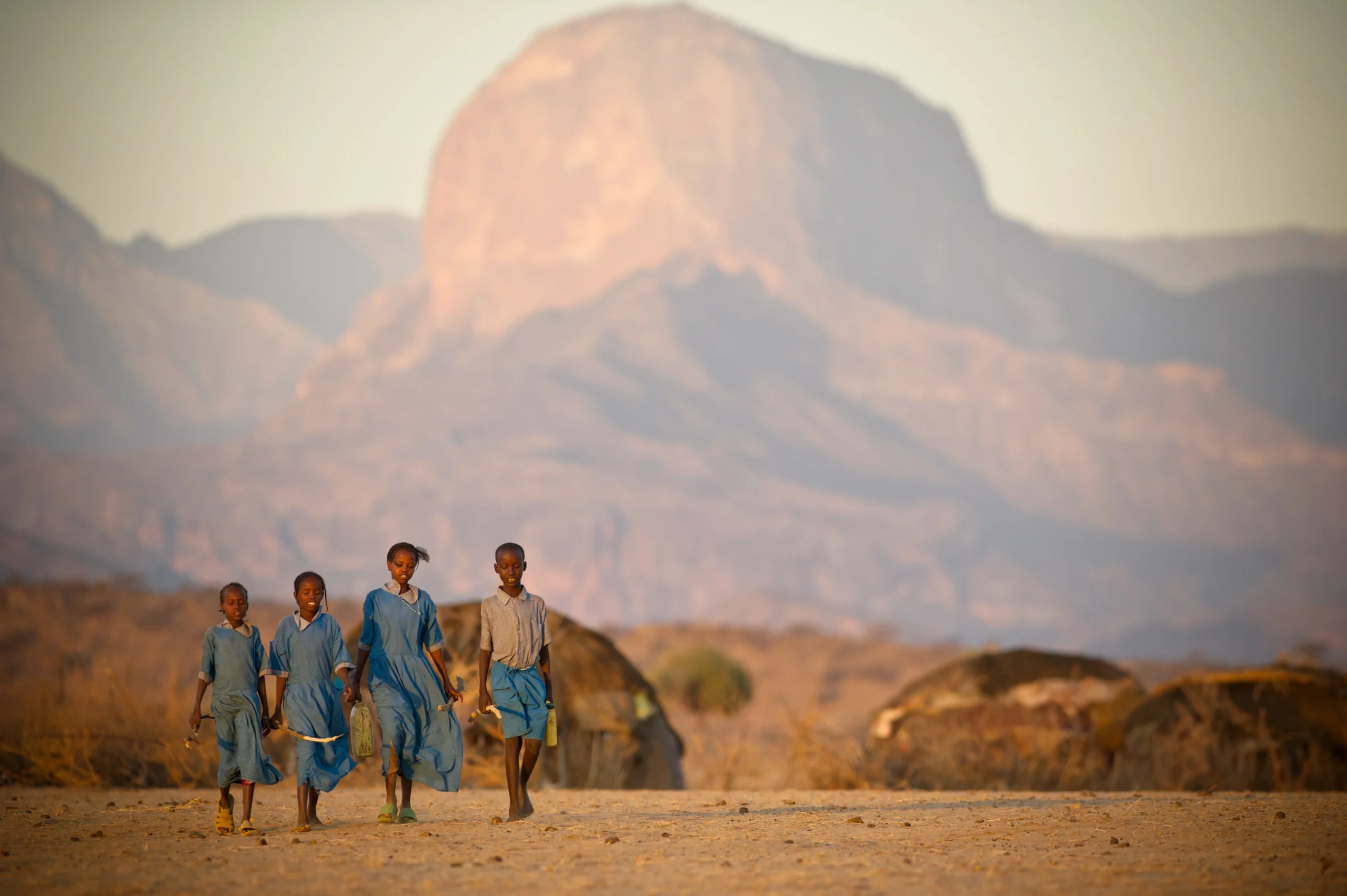The BOMA Project - BOMA
