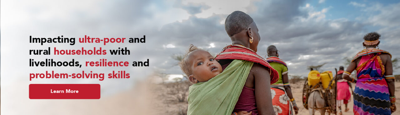 The BOMA Project - BOMA